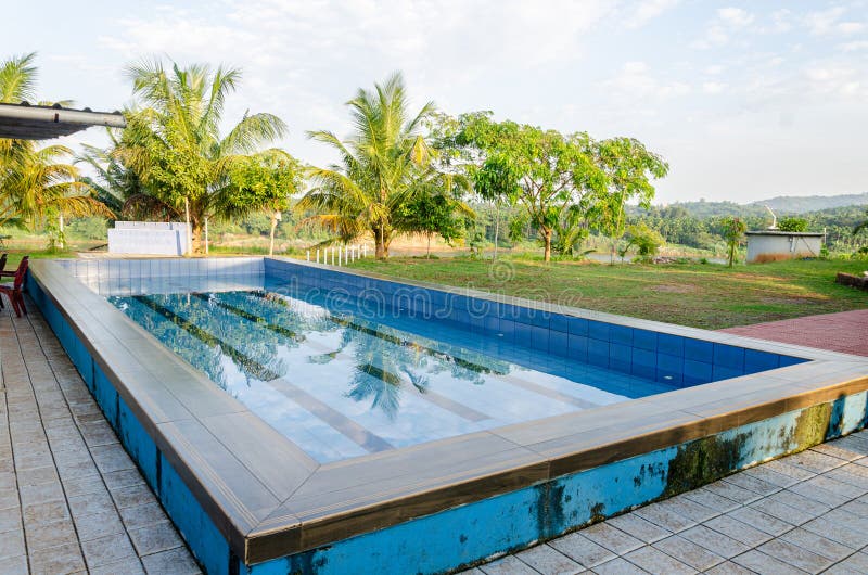 Mini Swimming Pool with Fresh Water Stock Photo - Image of home ...