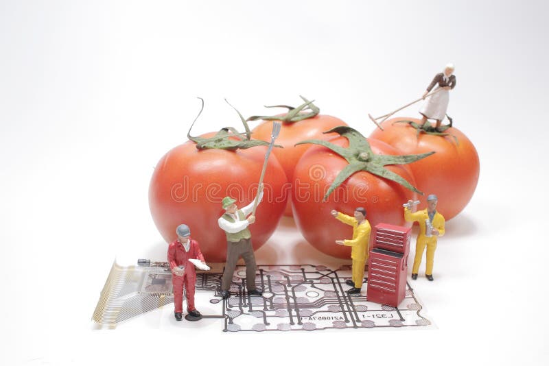 A Mini Technician Useing the Modern Technology on Farmer Stock Image ...