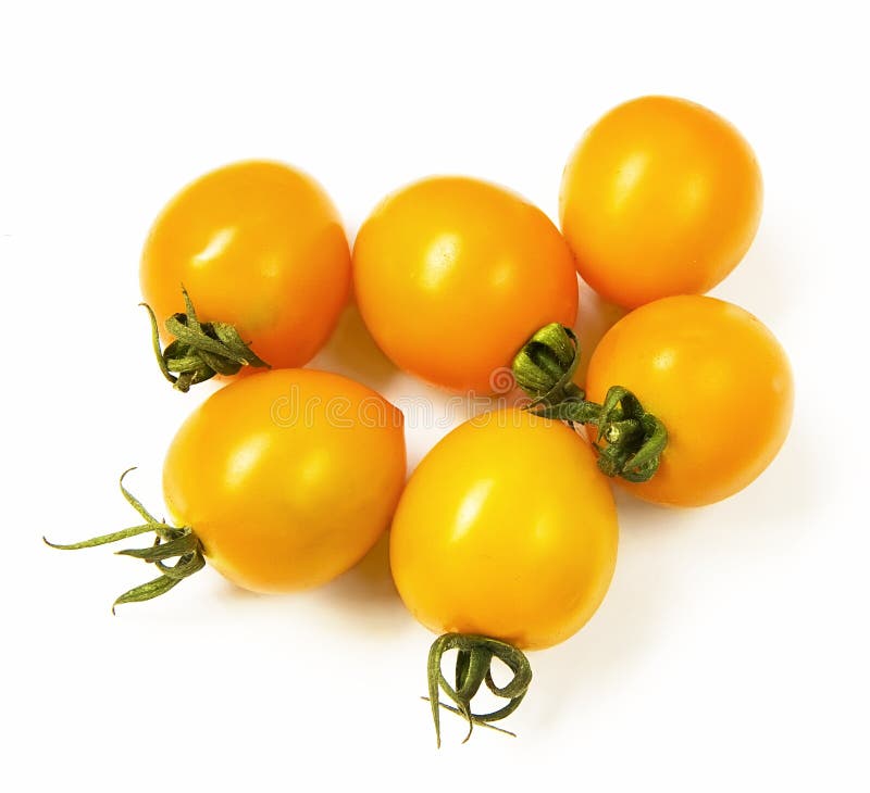 Mini tomato stock photo. Image of crops, scent, sweet - 20174880