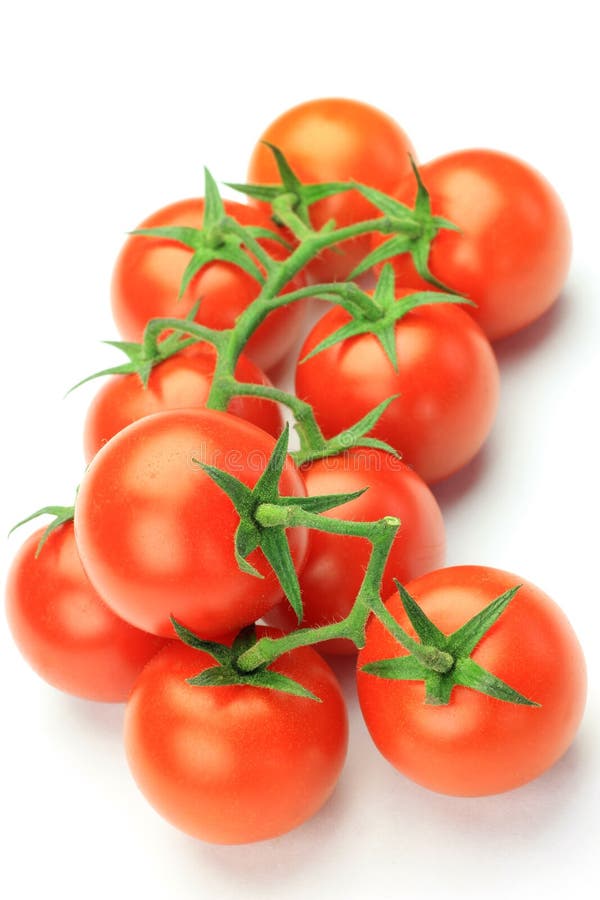 Mini-tomato stock photo. Image of italian, tomato, vegetable - 27320410