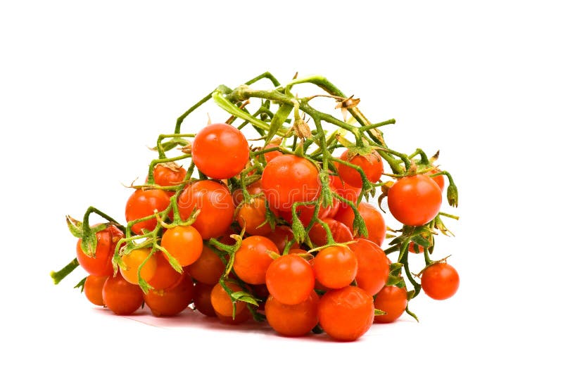 Cherry tomato stock image. Image of closeup, herb, juicy - 22301563
