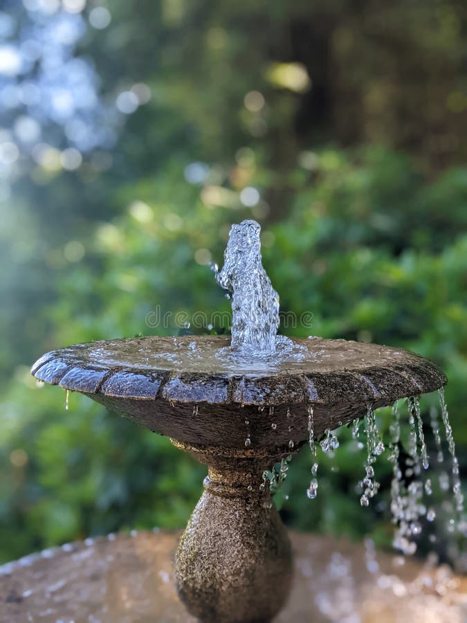 Mini water fountain stock photo. Image of green, plant - 251054194