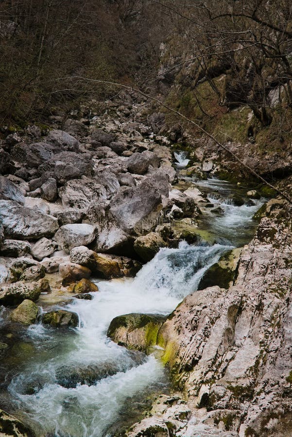 Mini waterfall from forest stock photo. Image of moss - 375934192