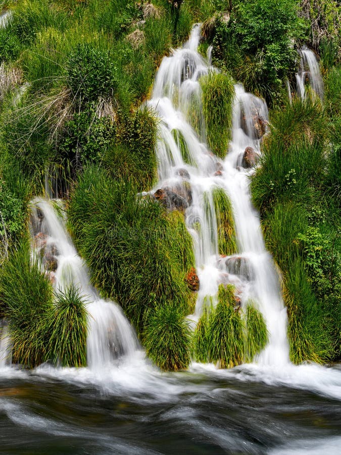 Mini Waterfall Formed from a Spring with Grass Stock Photo - Image of ...