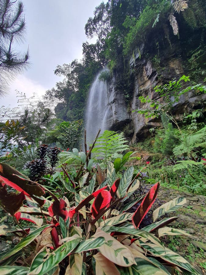 Miniwaterfall stock photo. Image of nature, summer, environment - 89698082