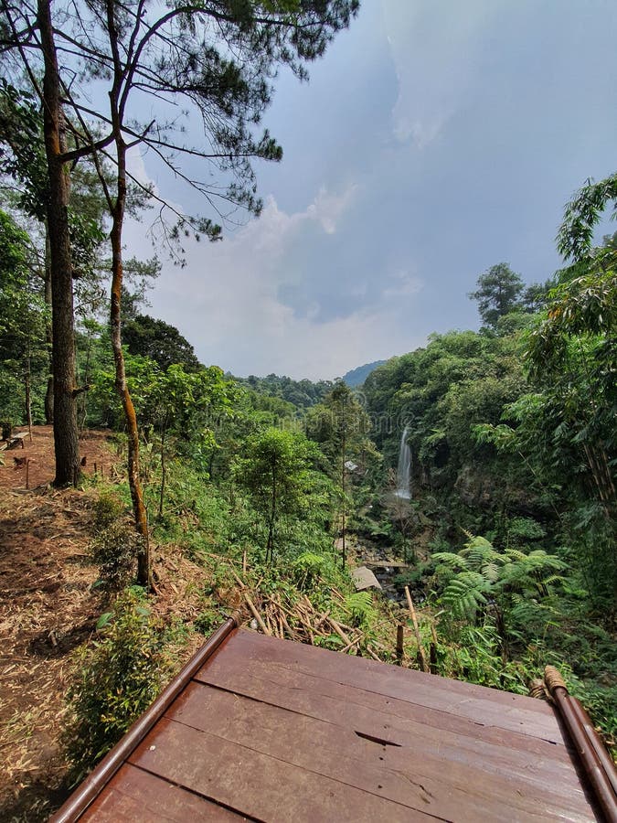 Mini Waterfall Halimun Salak Stock Photo - Image of flower, nature ...