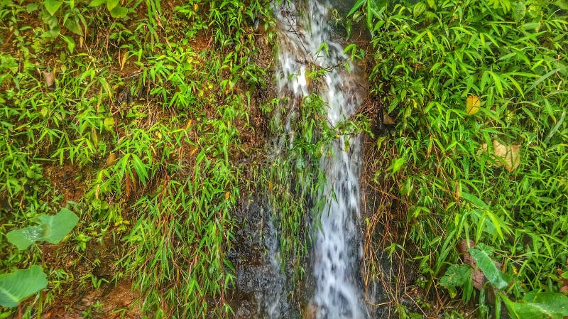 Mini waterfall on hill stock photo. Image of stream - 273352212
