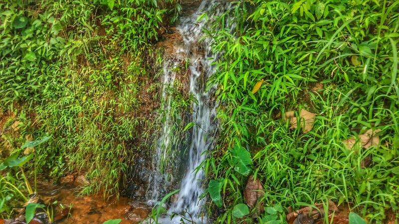Mini waterfall on the hill stock image. Image of nature - 273352255