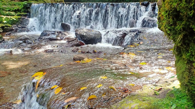 Mini Waterfall with Leaves in the Water Stock Image - Image of ...