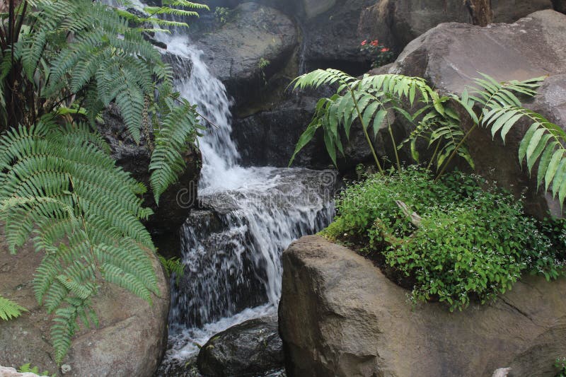 Mini Waterfall in the Creek Stock Photo - Image of transparent, flowing ...