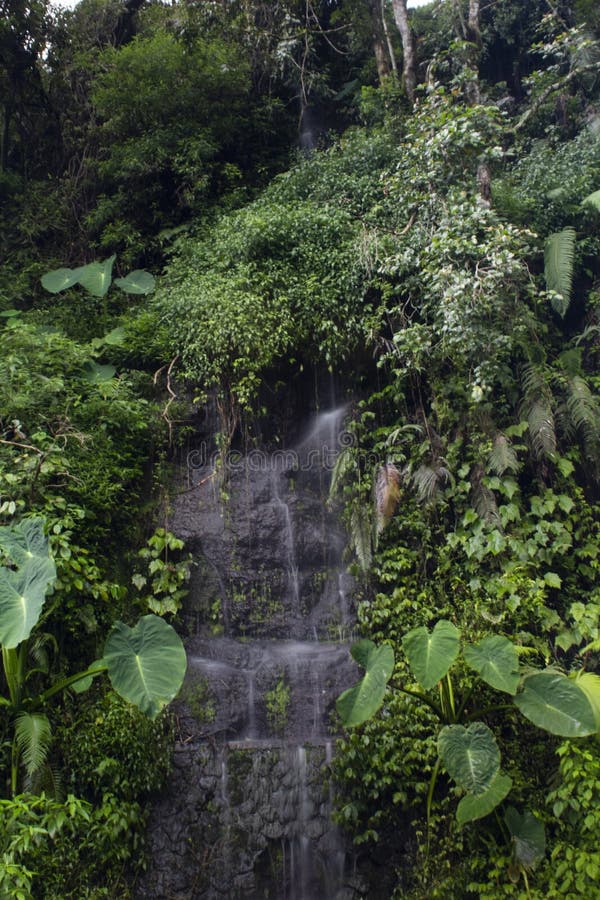 Mini Waterfall Along BlackStar Canyon Stream Stock Photo - Image of ...