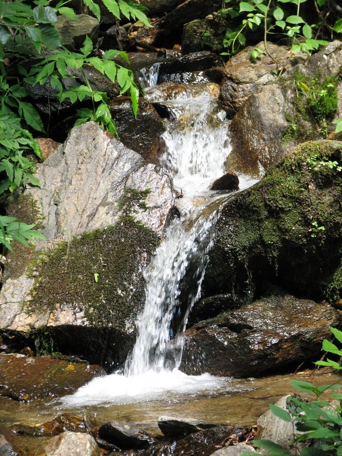 Mini Waterfall Along BlackStar Canyon Stream Stock Photo - Image of ...