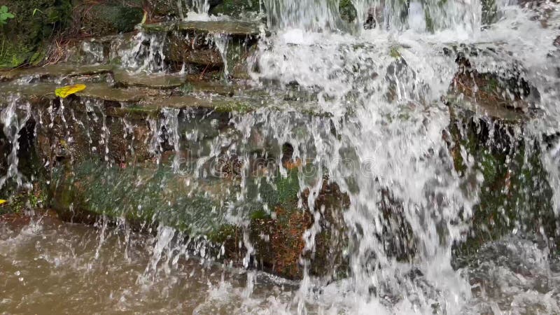 Mini Waterfall Pool Decorated with Plants and Natural Stones Stock ...