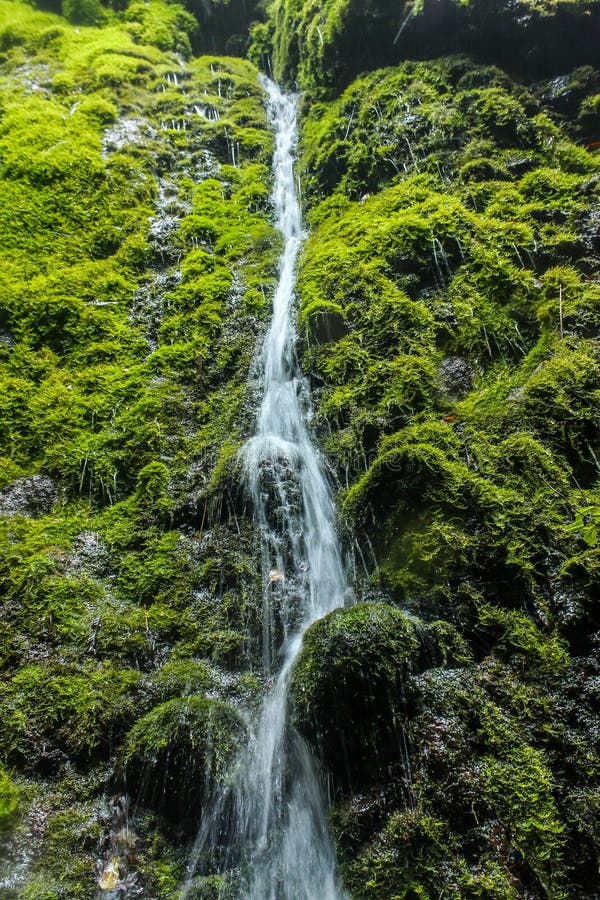 Mini waterfall stock image. Image of backdrop, java, color - 96742885