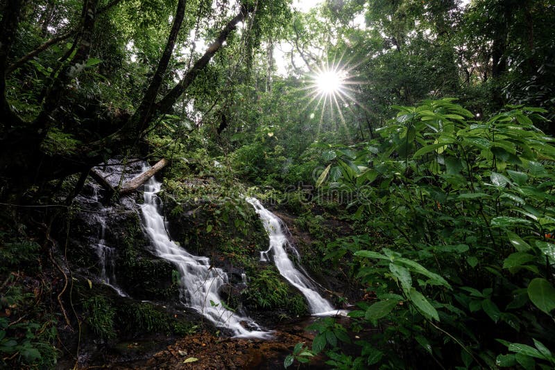 Mini Waterfall of Water Stream from the Forest Stock Image - Image of ...