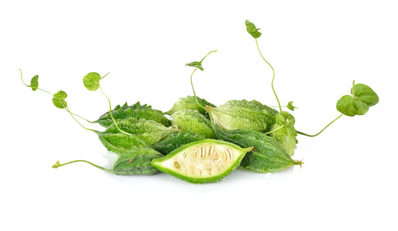 Mini Whole Fresh Bitter Gourd with Stem on White Background Stock Image ...
