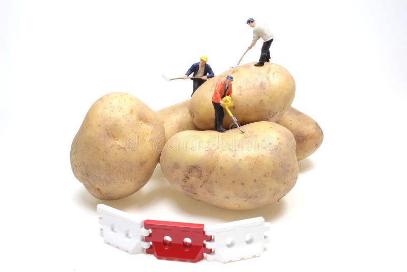 A Mini Worker Work on the Potato Stock Photo - Image of harvest, heart ...
