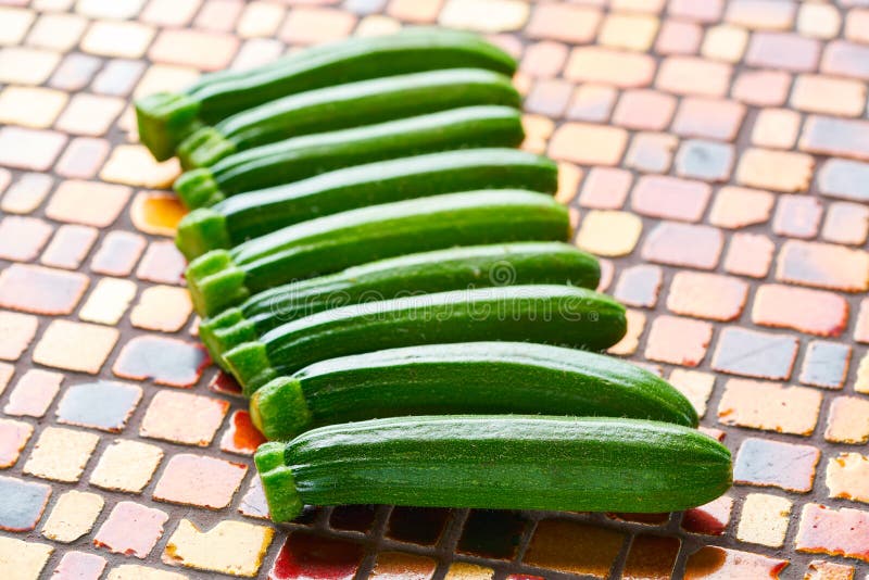 Mini Zucchini Vegetables in a Row Stock Photo - Image of fall, cuisine ...