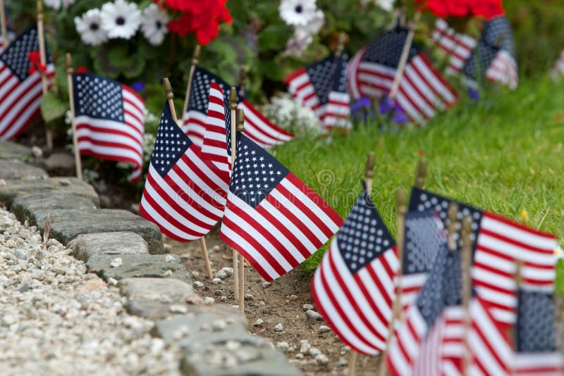 Miniature American Flags on the 4th of July Stock Photo - Image of ...