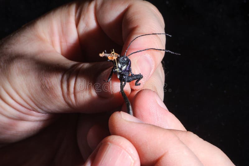 Miniature of Bug Playing Violin Stock Image - Image of concept, small ...