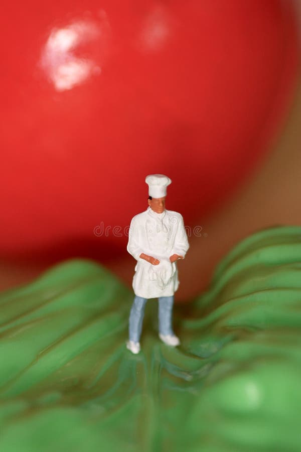 Miniature of a chef stock photo. Image of male, figure - 54235968