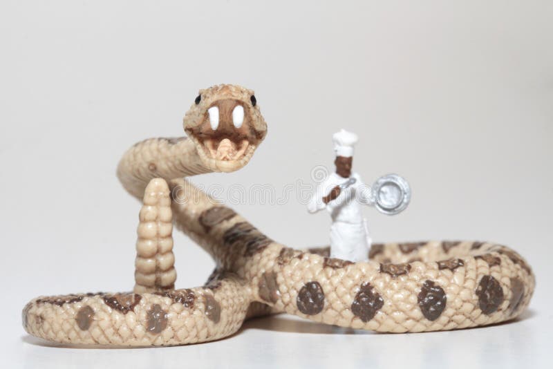 Miniature of a Cook with a Giant Snake Stock Image - Image of ferocious ...