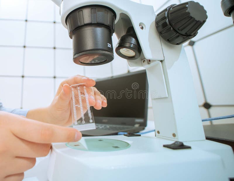 Miniature Device Lab on Chip, Microfluidic Devices Chip in the Hands of ...