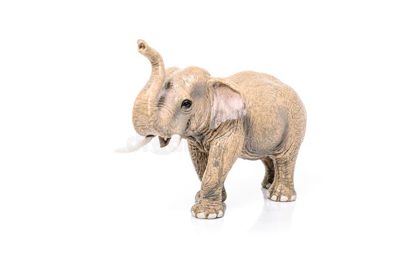 Real Miniature Elephant