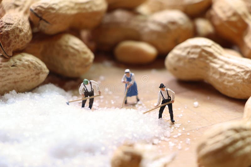 Miniature Farmers Preparing Nuts Stock Photo - Image of market, salt ...