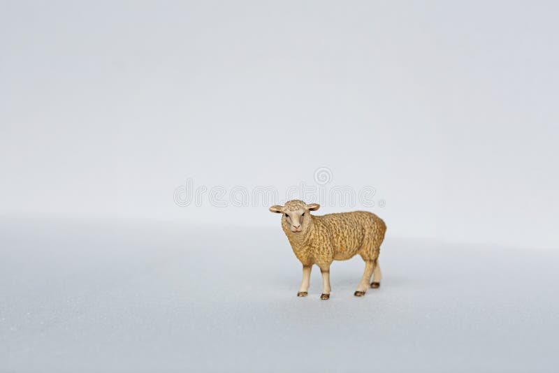 Miniature Figure of Animals Toy. Plastic Sheep Toy on White Stock Photo ...