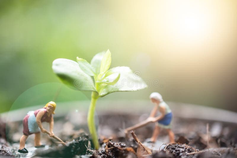 Miniature Figures with Planting Tree ,Environment Concept Stock Photo ...