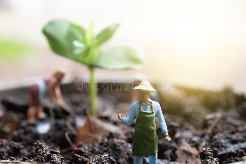 Miniature Figures with Planting Tree ,Environment and Business Concept ...