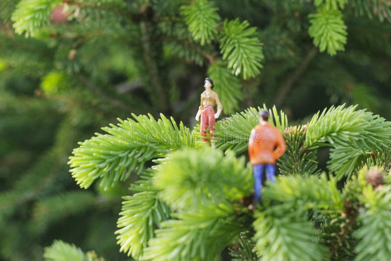 Miniature Figures on the Tree Stock Image - Image of husband, nature ...