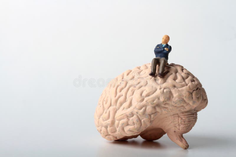 Miniature Figurine of a Man Sitting on a Giant Brain Stock Photo ...