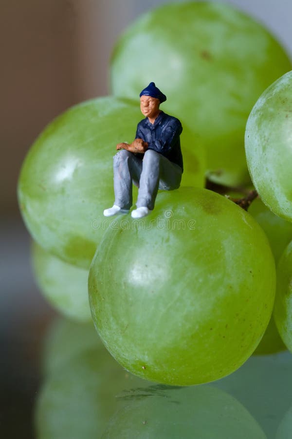 Miniature of a Man Sitting on the Grapes Stock Photo - Image of harvest ...