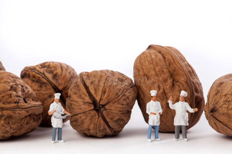 Miniature People: Chef and Cooks in Front Walnuts Stock Photo - Image ...