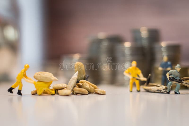 Miniature People : Workers Work on the Sunflower Seed Production ...