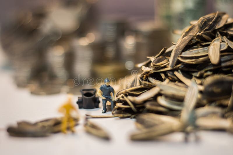 Miniature People : Workers Work on the Sunflower Seed Production ...