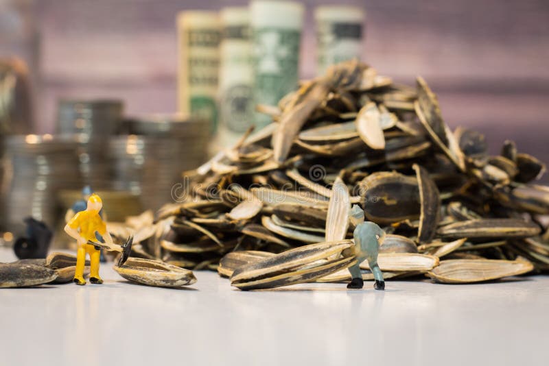 Miniature People : Workers Work on the Sunflower Seed Production ...