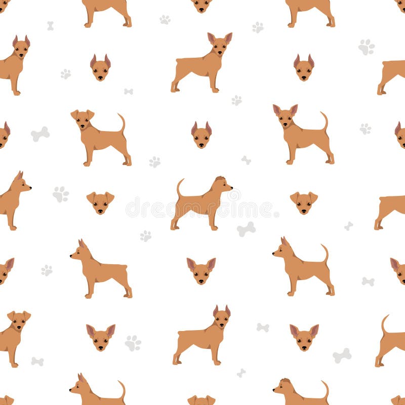 Miniature Pinscher Teacup Seamless Pattern. Different Poses, Coat ...