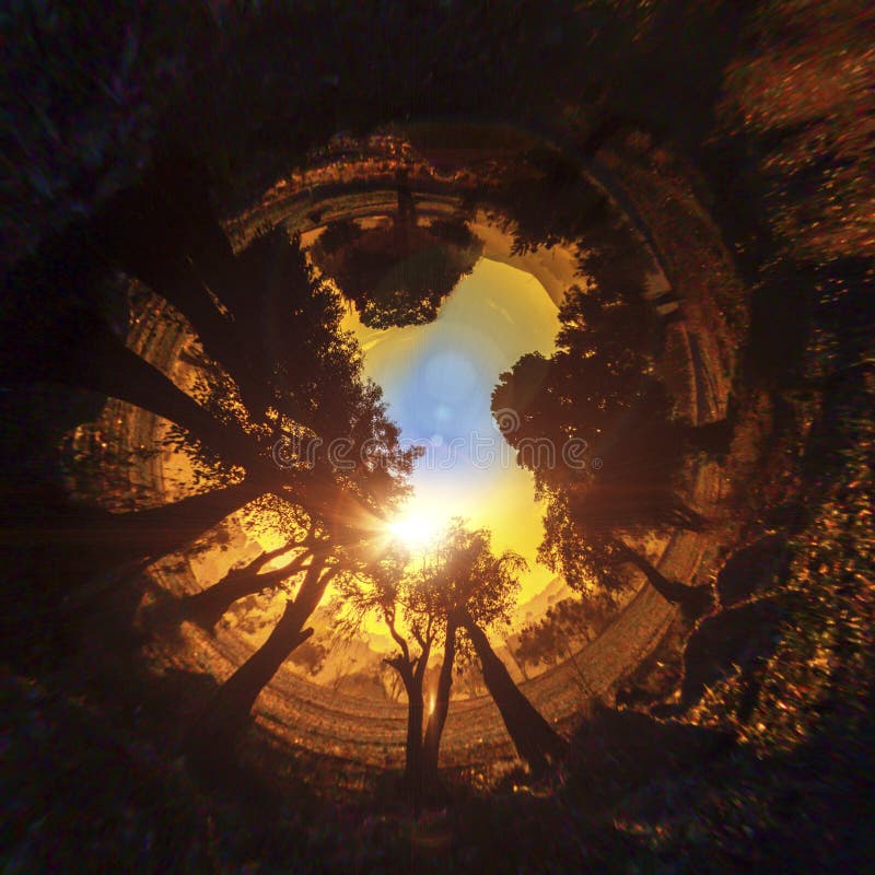 Miniature Planet Sunset in a Forest with the Sun in the Background ...