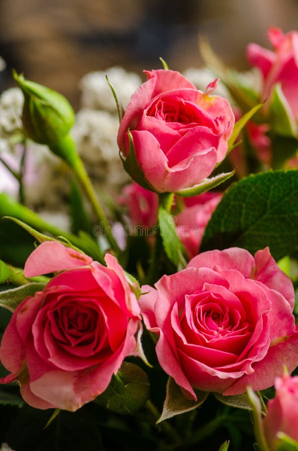 Miniature roses in bouquet stock photo. Image of bunch - 27577486