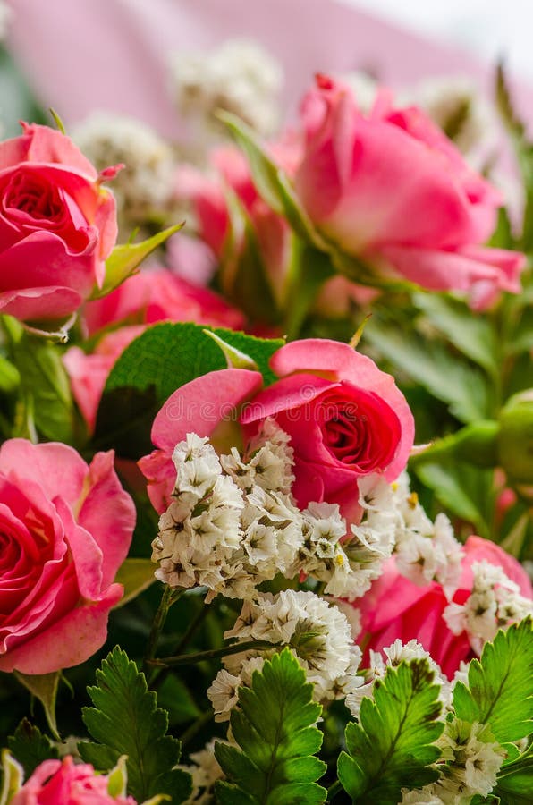 Miniature roses in bouquet stock photo. Image of bunch - 27577486