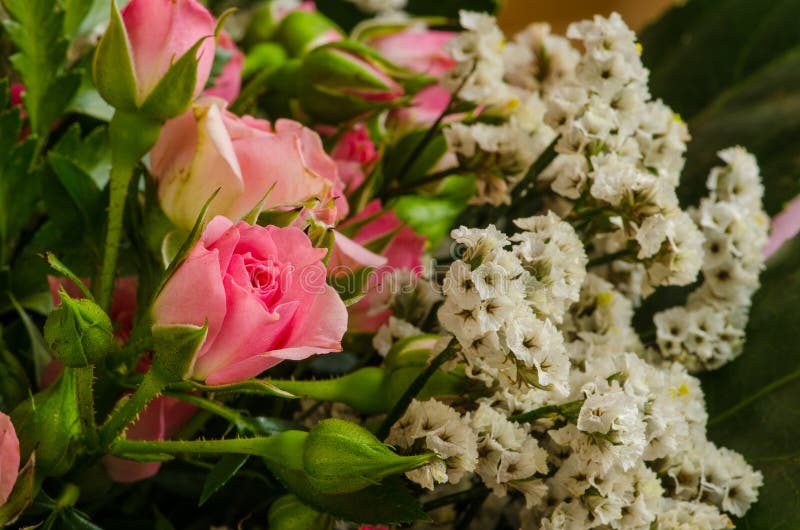 Miniature roses in bouquet stock photo. Image of flower - 27577754