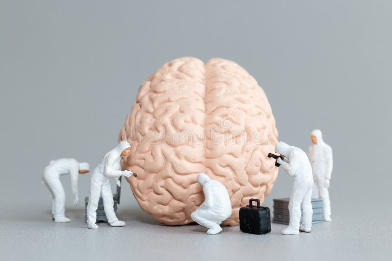 Miniature Scientists Analyzing a Human Brain Model Stock Image - Image ...
