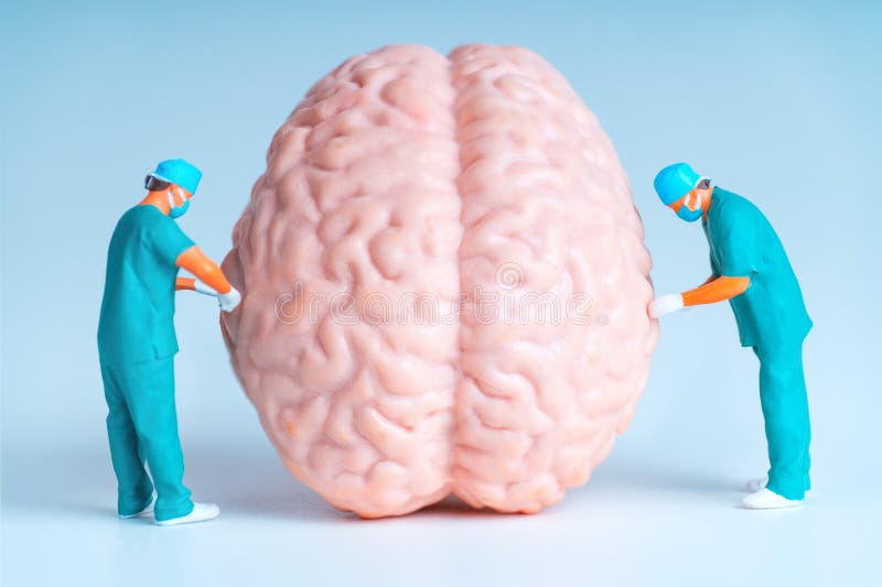 Miniature Surgeons and Human Brain Model Stock Image - Image of ...
