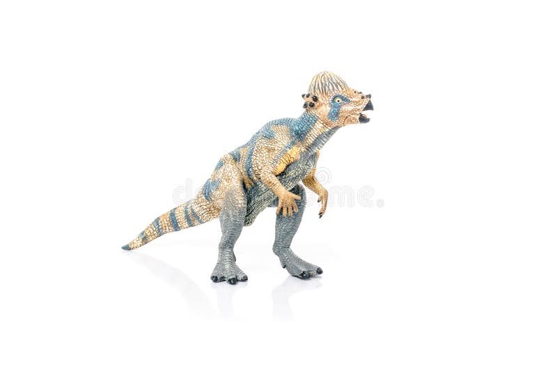 Miniature of Pachycephalosaurus Toy Dinosaur on White Background Stock ...