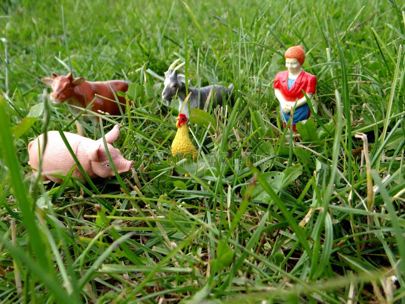 Miniature Farm stock photo. Image of vegetables, scene - 16769510