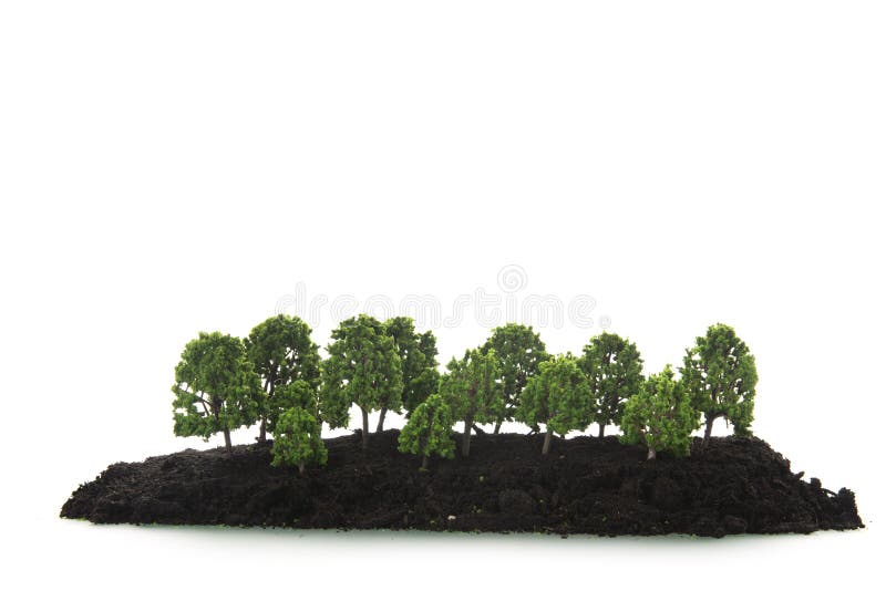 Miniature Trees in Black Earth Stock Image - Image of plants, earth ...