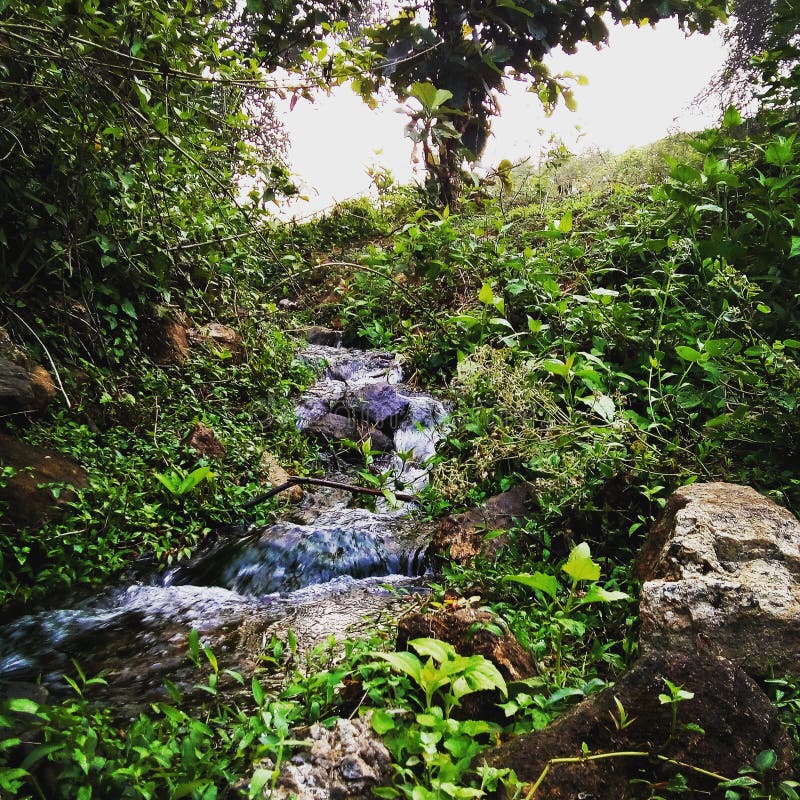 A Miniature Waterfall in the Form of a Stream of Water Running ...